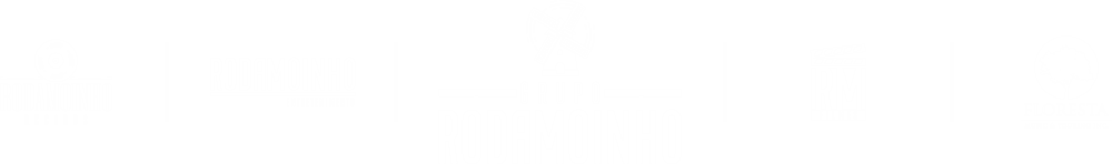 Grupo Rodamoinho - Grupo Rodamoinho
