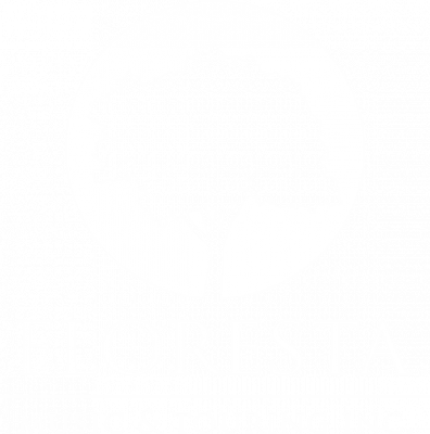 Grupo Rodamoinho - Grupo Rodamoinho